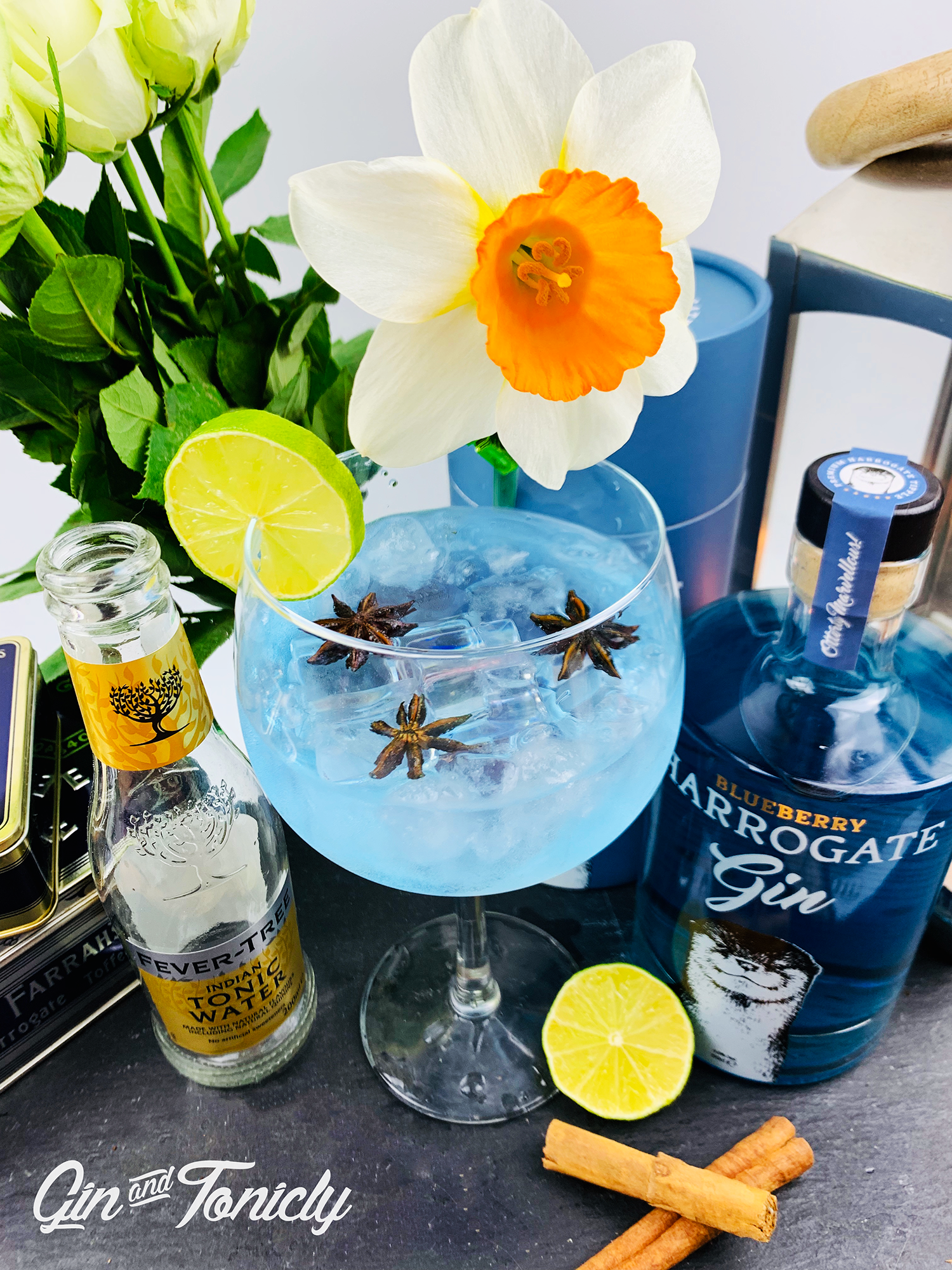 Harrogate Blueberry Gin Review | The Sip Guide | Crafted Sip Culture