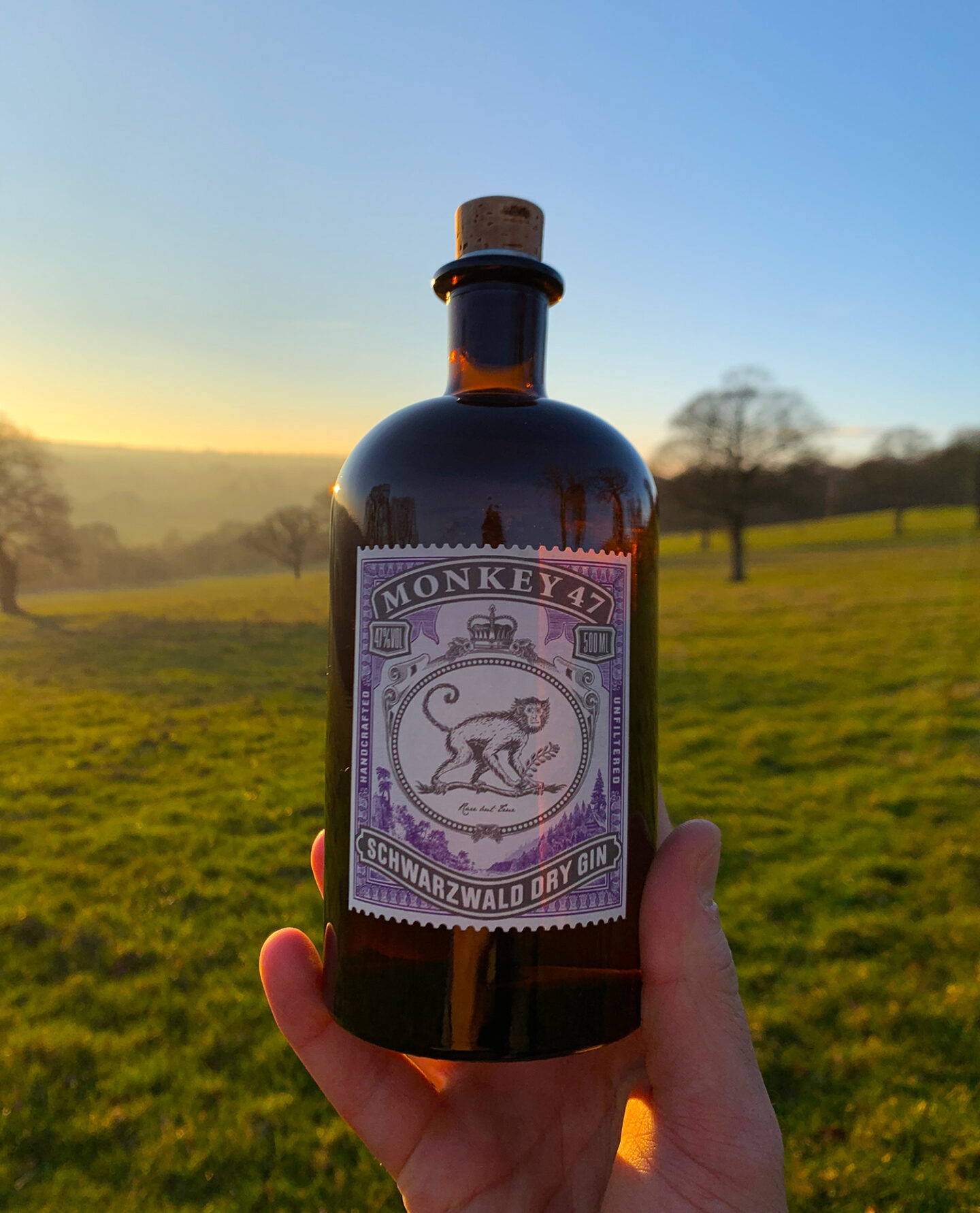 Monkey 47 Schwarzwald Dry Gin Review – The Gold Standard | The Sip ...
